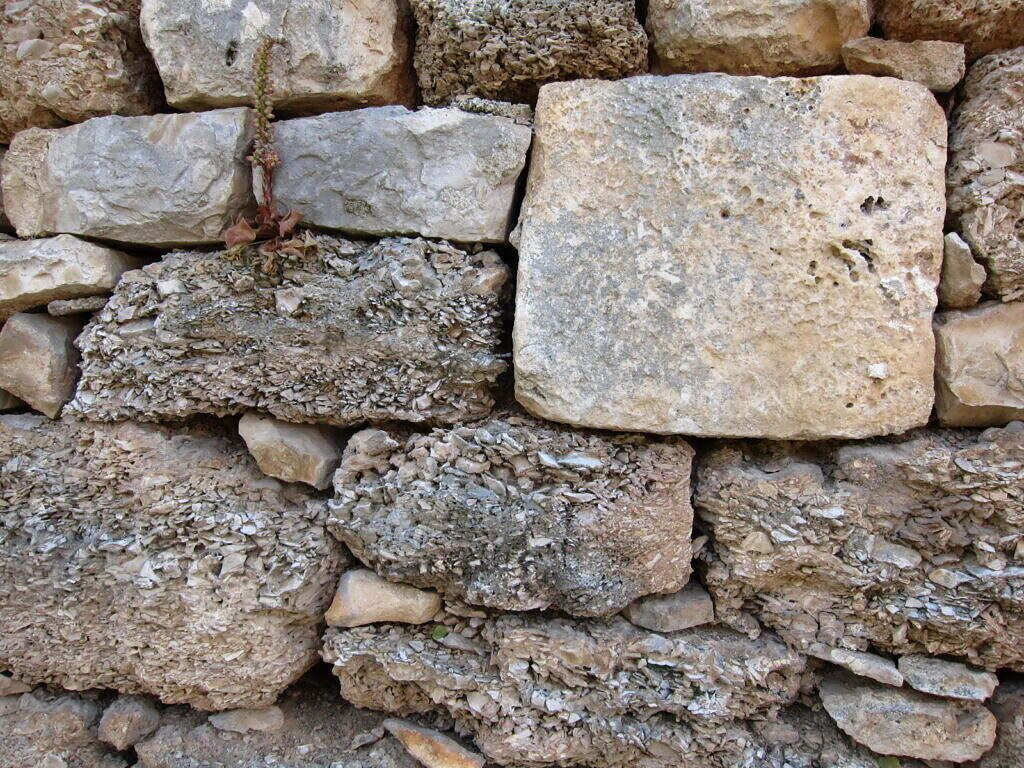 Izvještaj sa Brača: SVAKA STINJA GRADI! - 4 GRADA DRAGODID